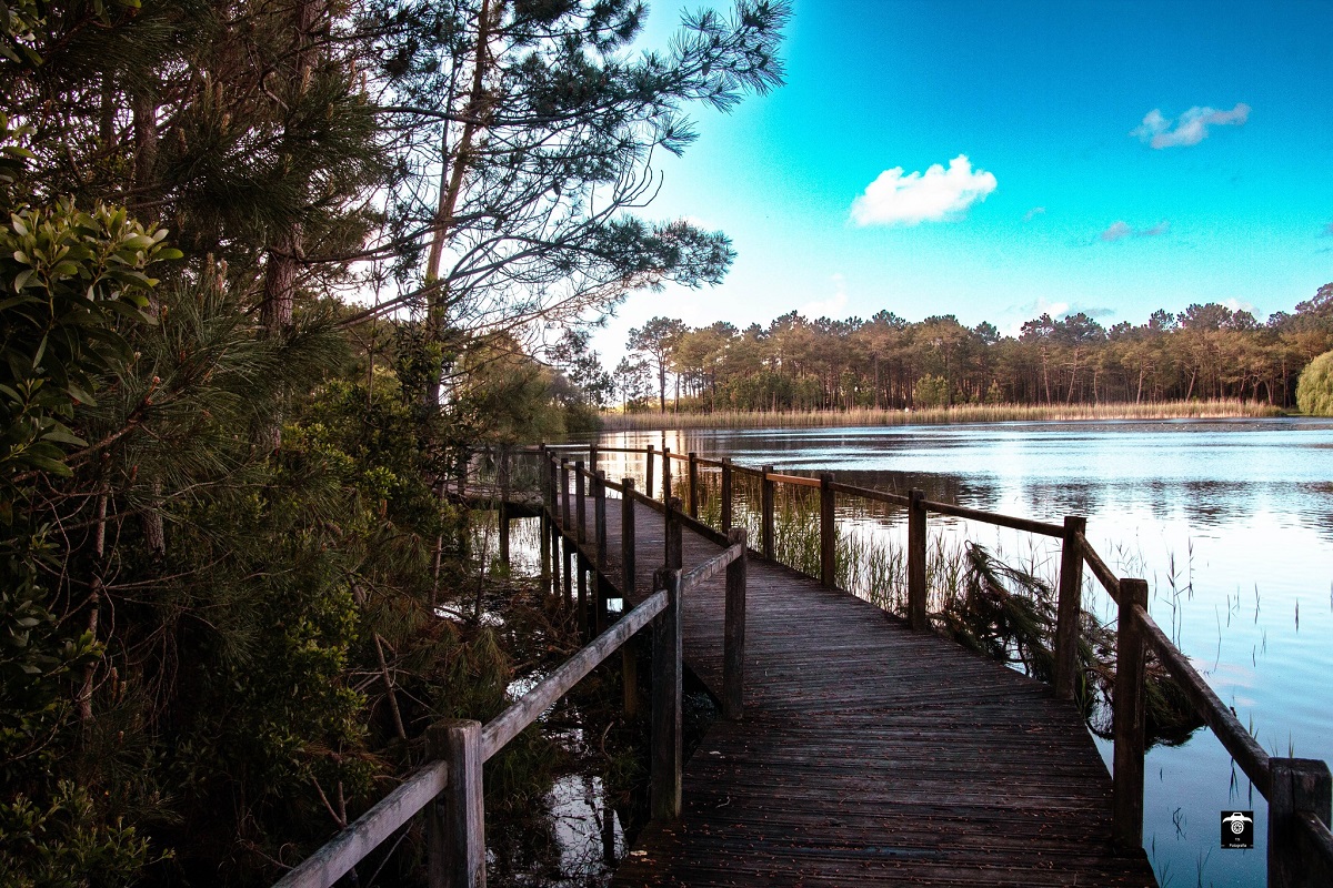 Festival da Terra regressa à Lagoa de Pataias “para uma experiência ...